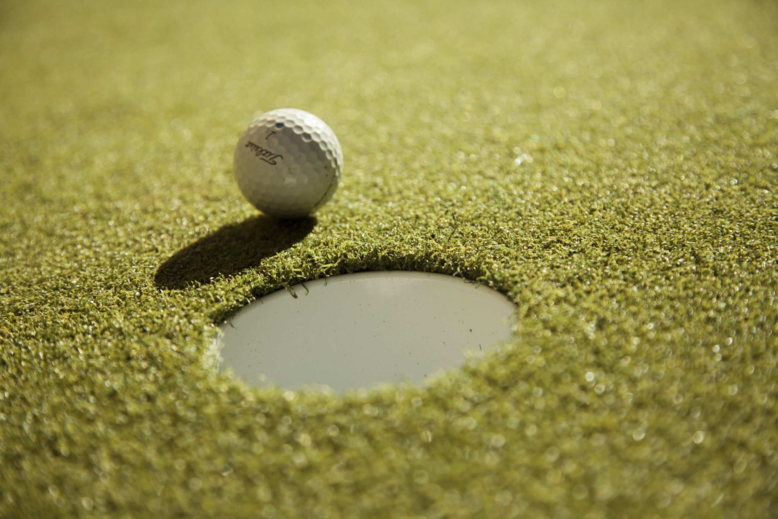 What Are Some Games You Can Play On Your Backyard Putting Green Turf 